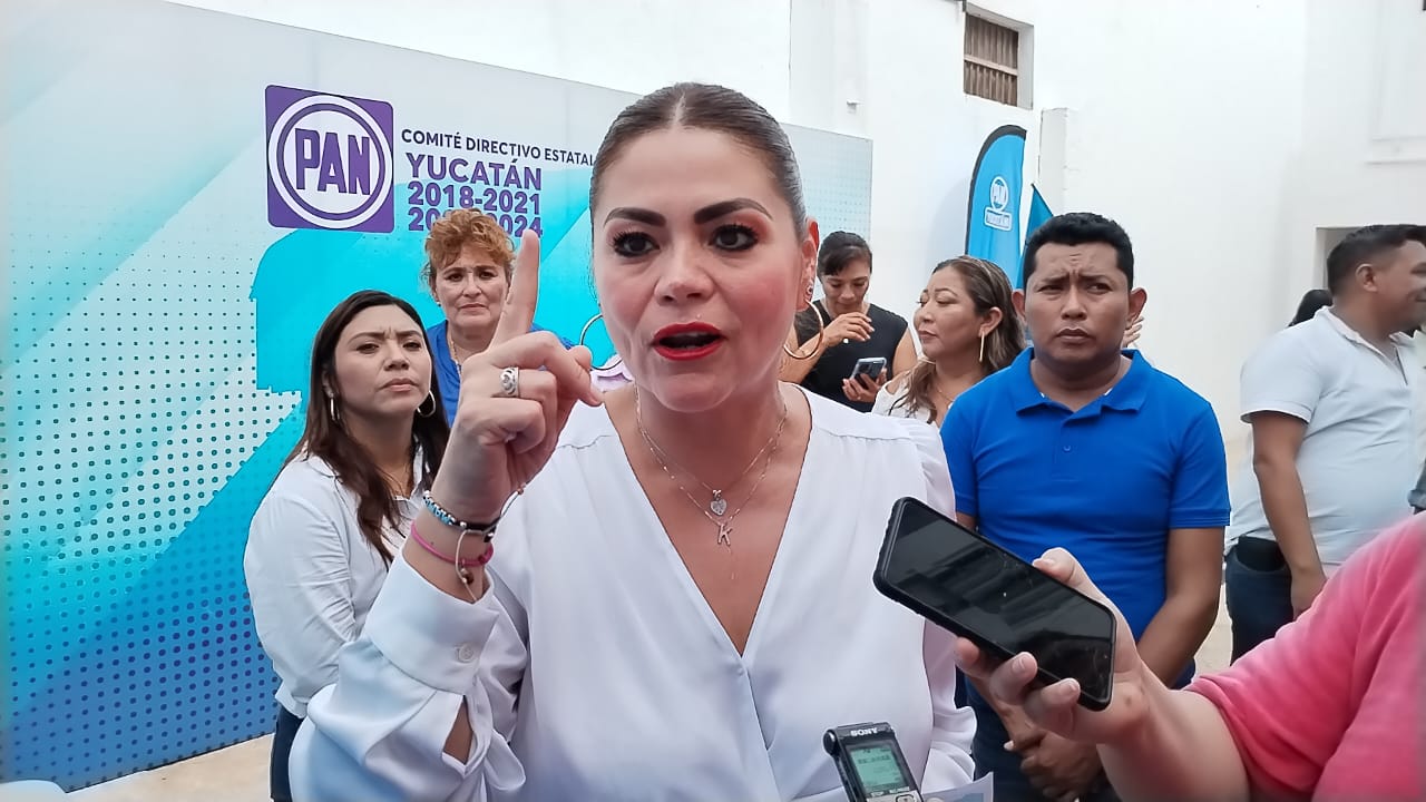 Katia Bolio va por los votos para el Senado, Renán Barrera y Xóchitl ...